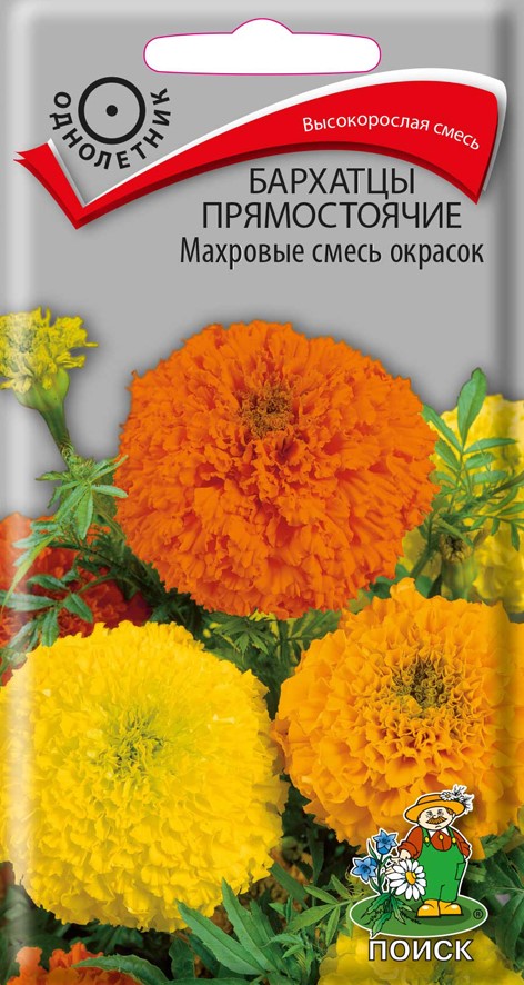 Бархатцы прямостоячие Махровые смесь окрасок 0,5гр — купить в Петровиче ...