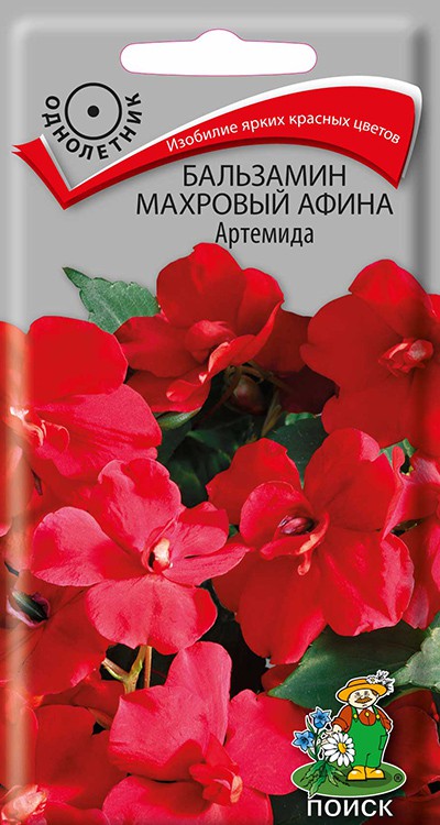 Бальзамин махровый Афина Артемида 5шт — купить в Петровиче в Москве ...